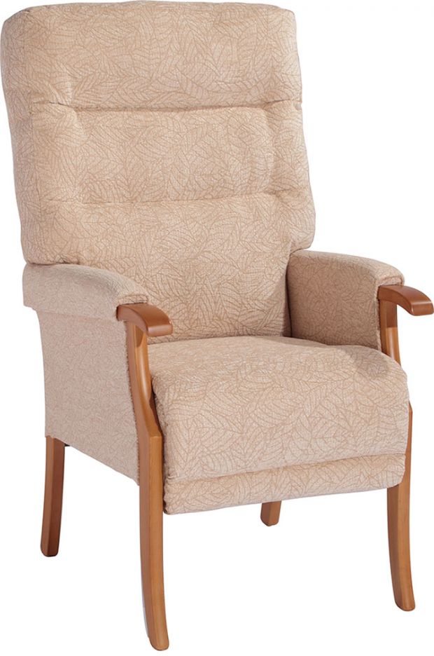 Shop Arm Chairs UK., The Mobility Furniture Company.